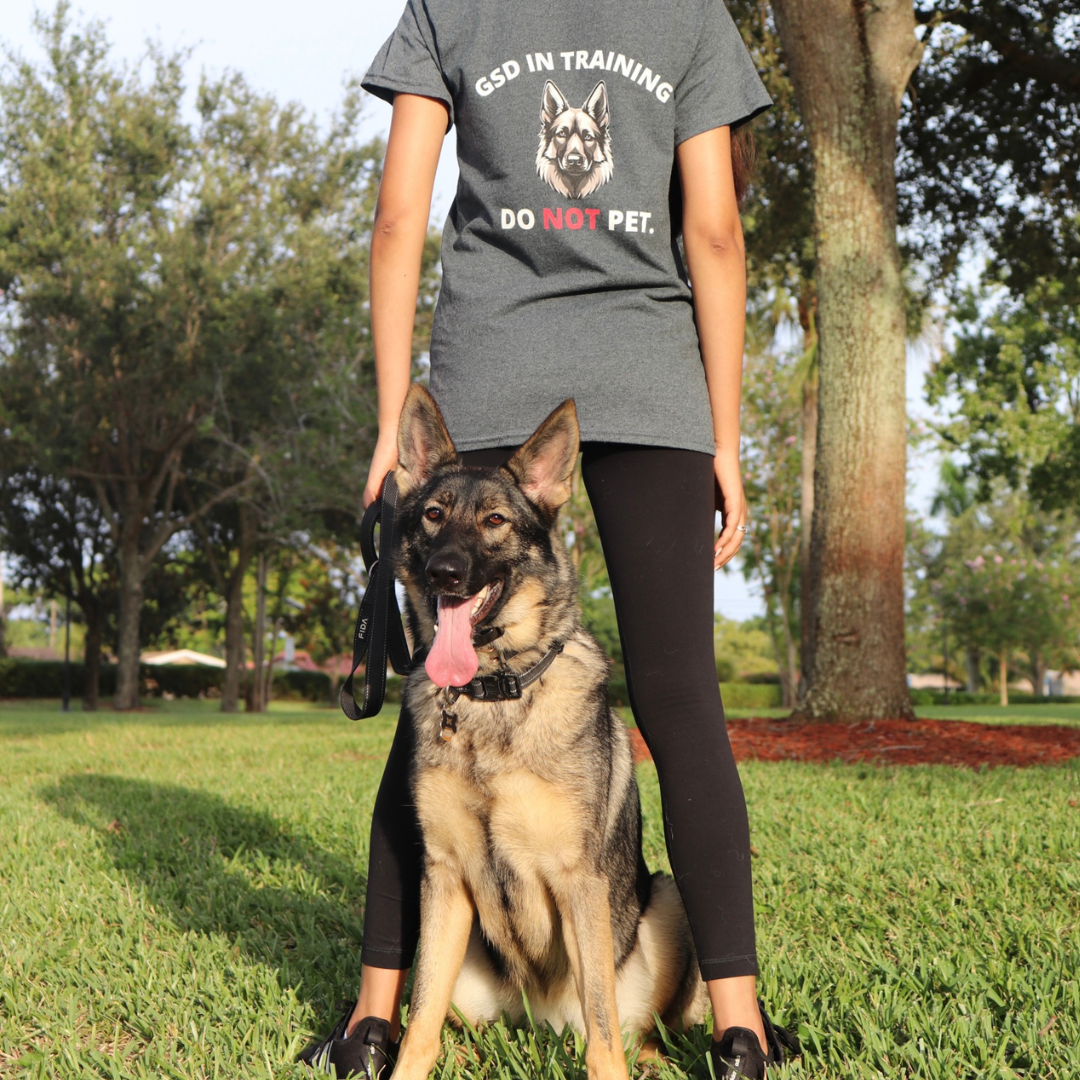 Dog Training – Shepherd Haus Design